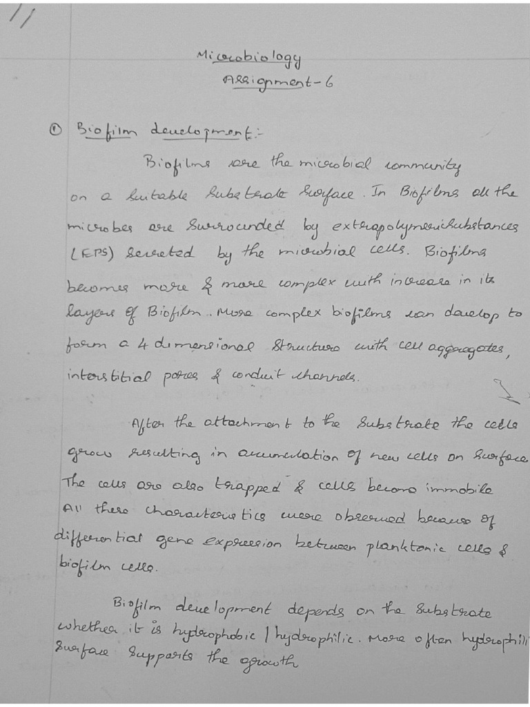 Microbiology Assignment 6 | PDF