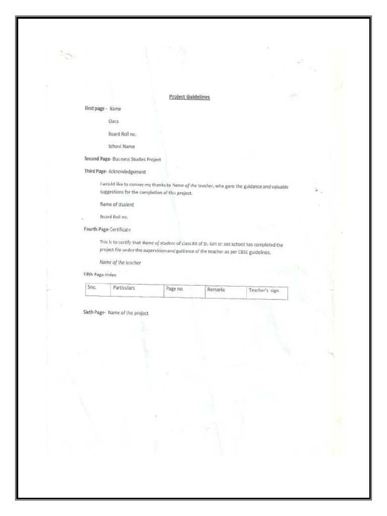 project guidelines | PDF