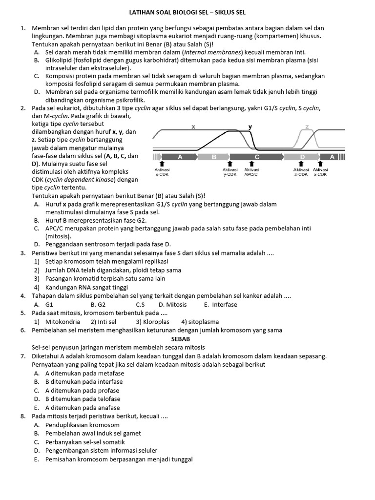 LATIHAN SOAL BIOLOGI SEL - SIKLUS SEL | PDF