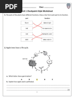 01. Grade 8 - Photosynthesis and Respiration (Notes) | PDF ...