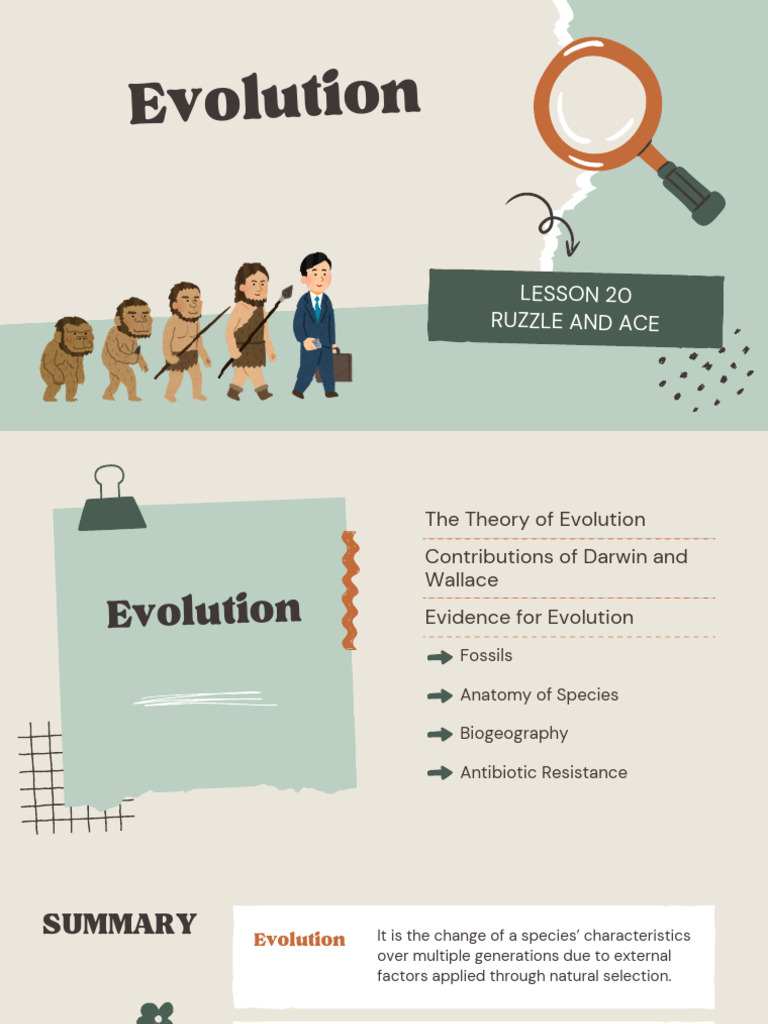 L 20 The Evidence For Evolution Education Presentation in Light Blue ...