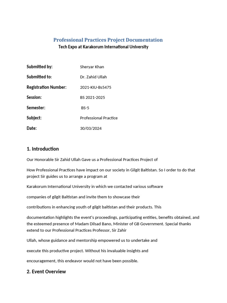 Professional Practices Project Documentation | PDF