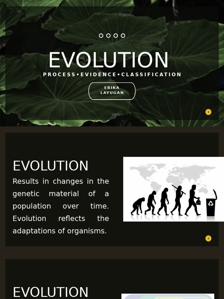 Lesson 19 Evolution Process Evidence Classification | PDF