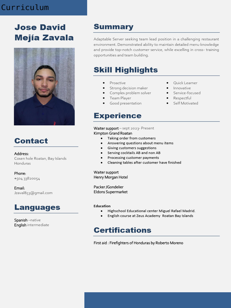 CV David PDF | PDF