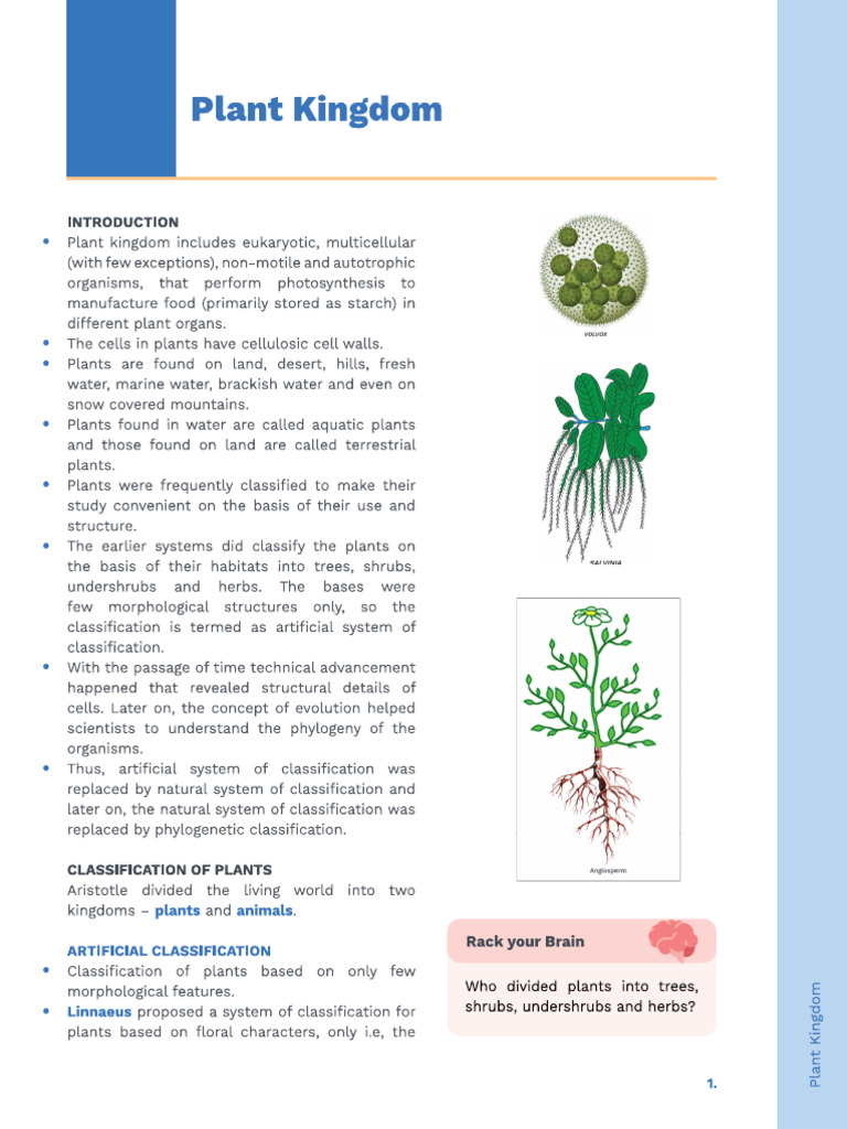 Class 11 - Plant-Kingdom | PDF