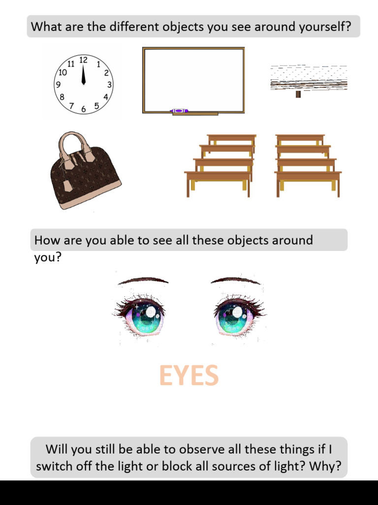 Light Class 8th | PDF | Reflection (Physics) | Eye