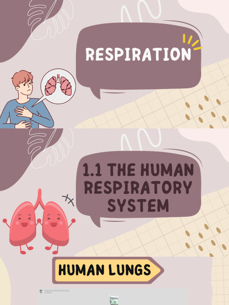 Respiration | PDF