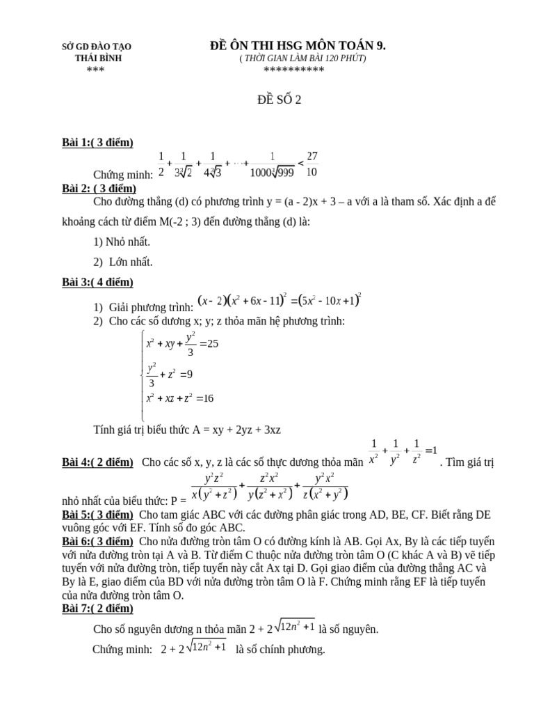 Đề Luyện Thi HSG | PDF