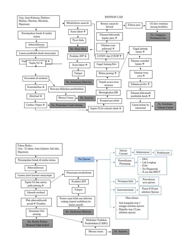 Pathway CABG | PDF
