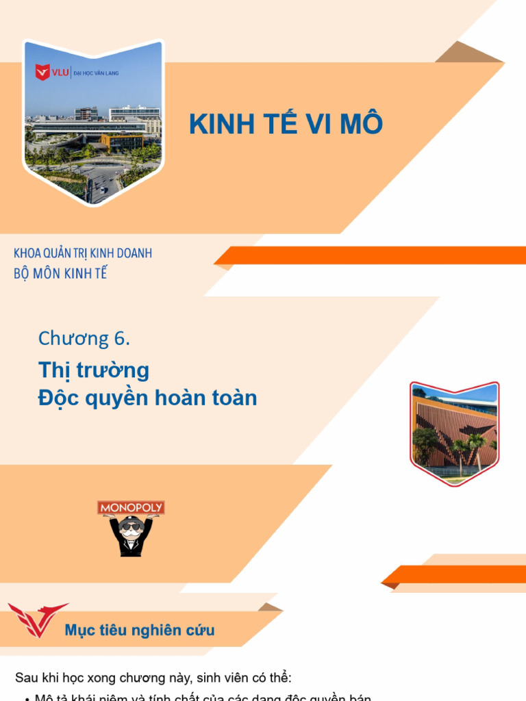 MICRO - CH6 - ĐỘC QUYỀN HOÀN TOÀN - SV | PDF