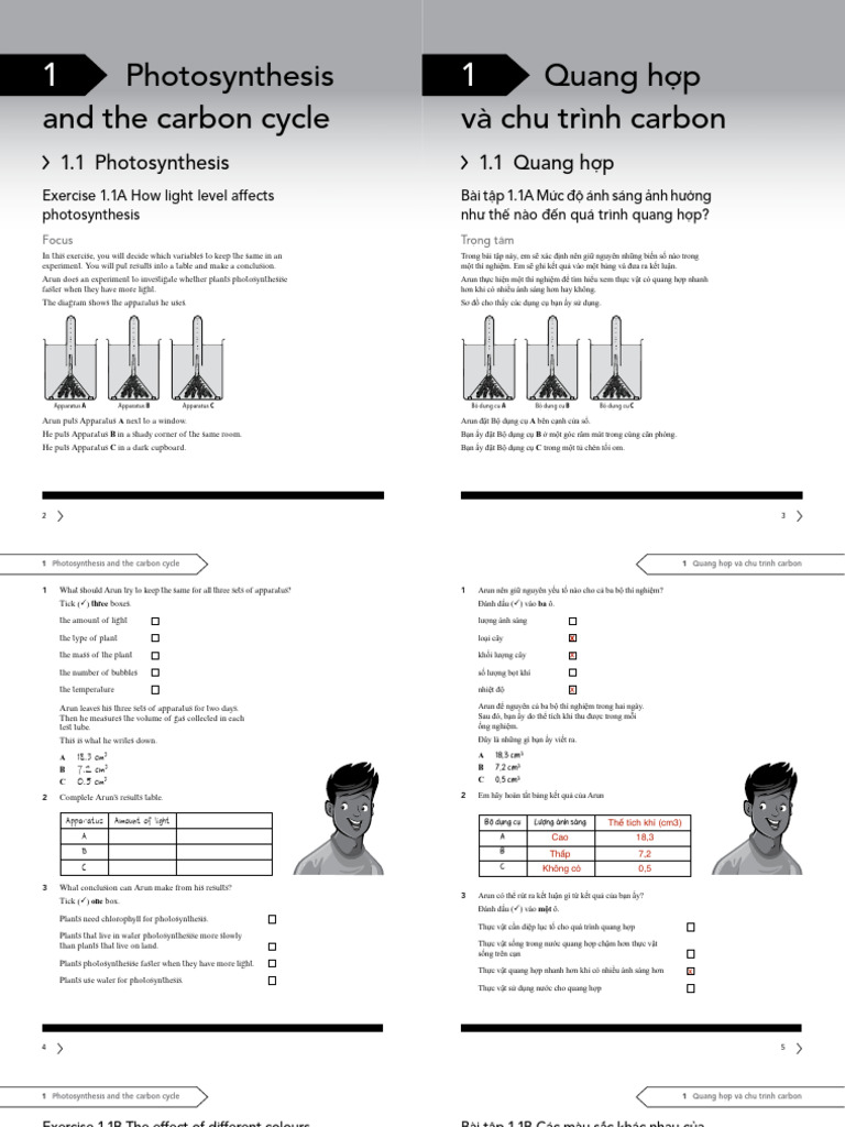 Grade 8_U01_AnwerWB_VSC-1 | PDF