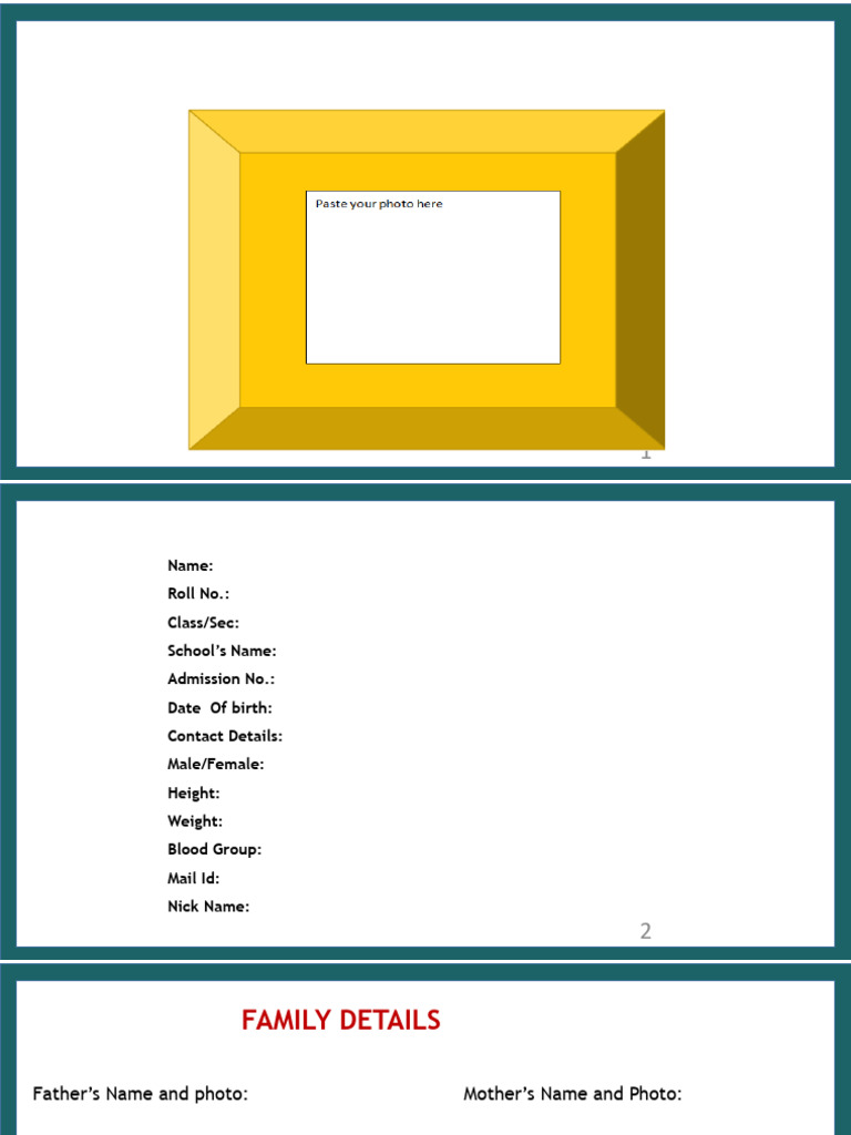 Format Of Portfolio Pdf