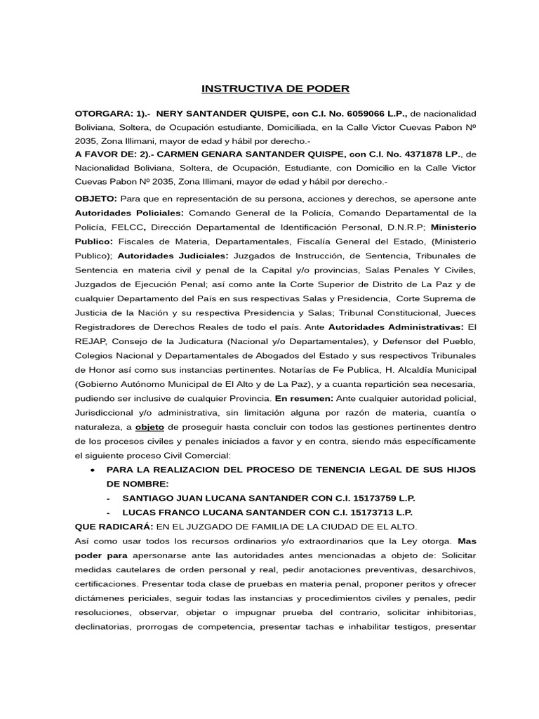 Instructiva de Poder Carmen Nery Quispe | PDF | Apelación | Sentencia (ley)