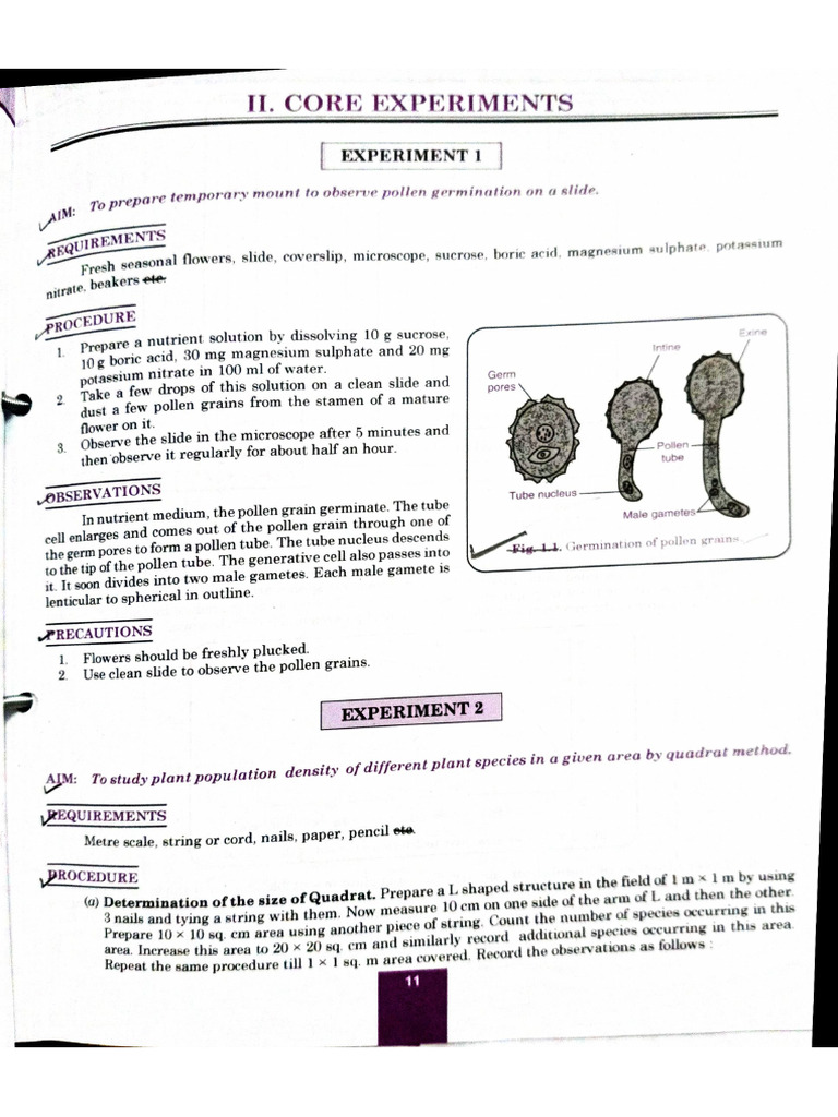 Biology Practical Experiment | PDF