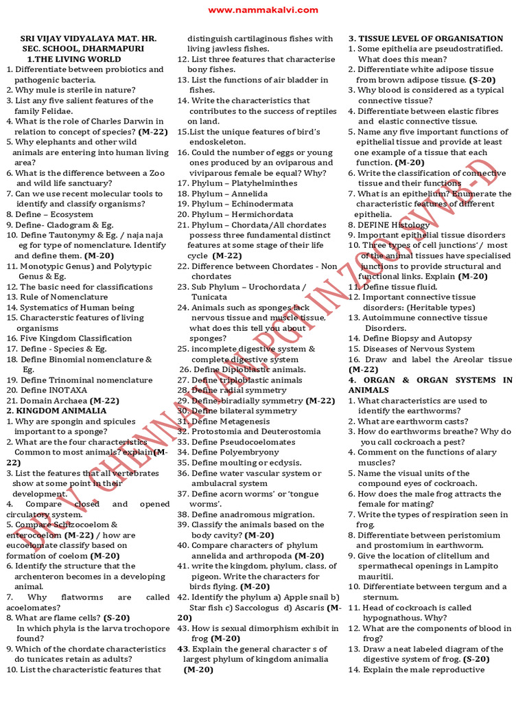 Namma Kalvi 11th Bio Zoology Important Questions EM 221365 | PDF | Endocrine System | Digestion