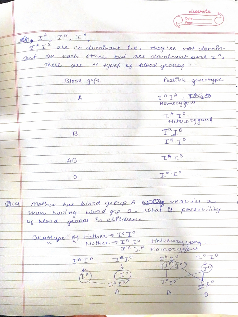 Heredity Notes | PDF