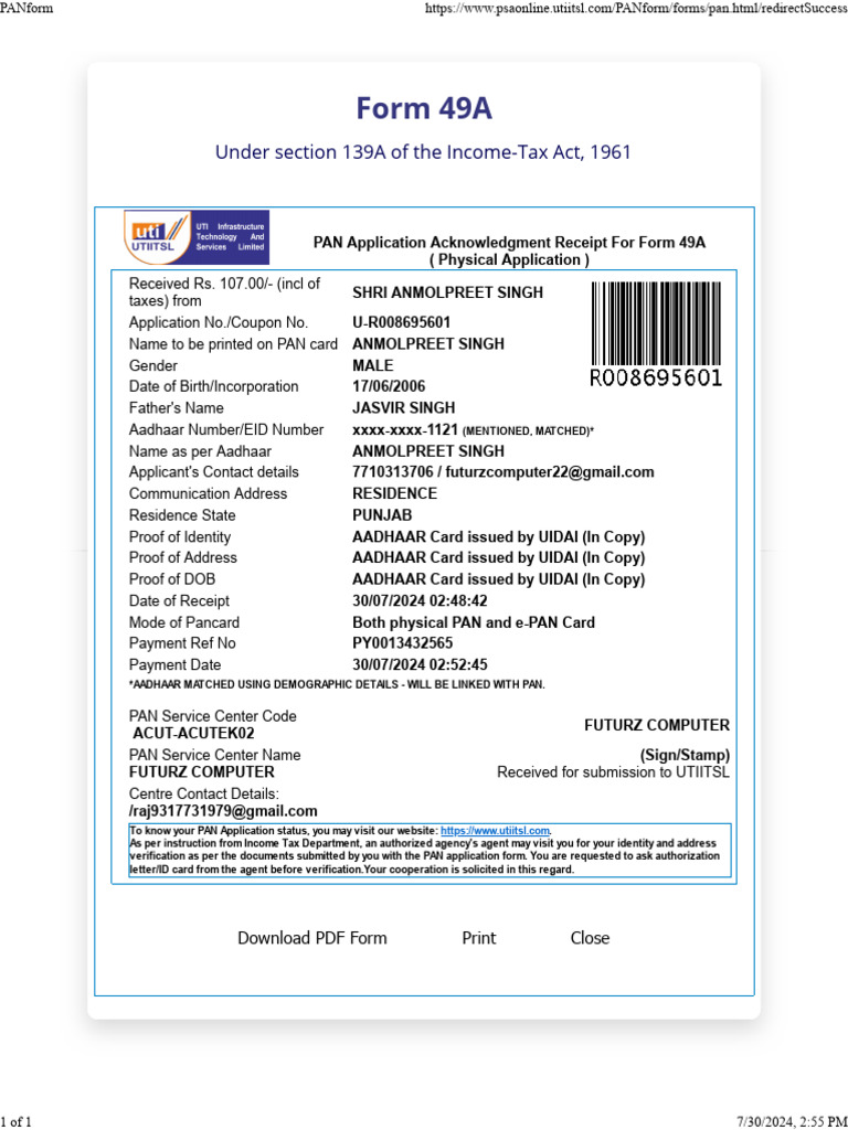 PANform | PDF | Government And Personhood | Authentication