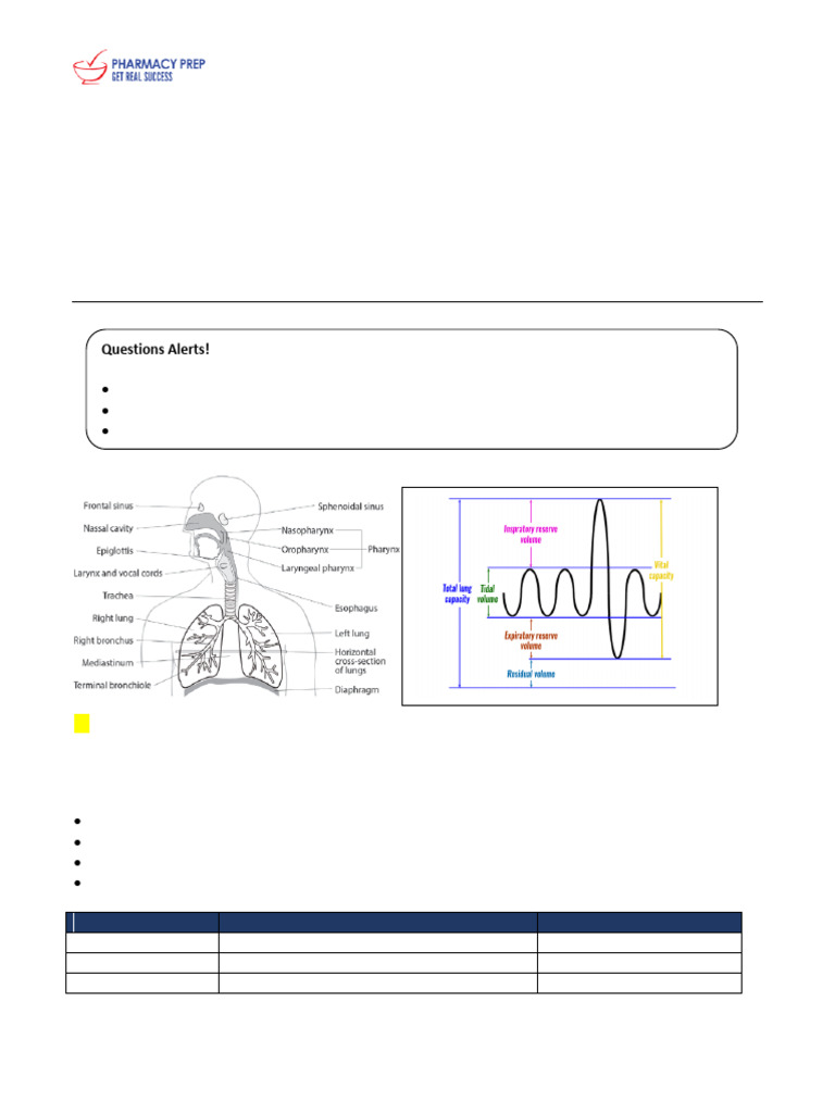 08 Chapter Respiratory Systempdf | PDF | Respiratory Tract | Lung