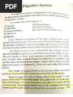 Digestive System Notes | PDF