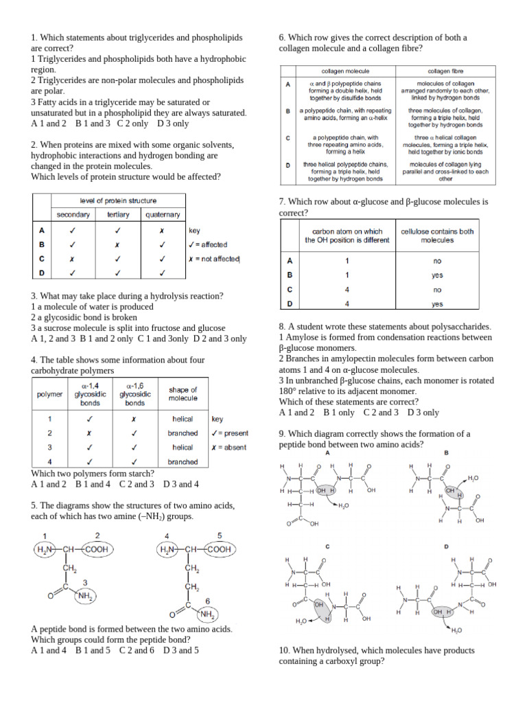 bior test | PDF | Hydrolysis | Triglyceride