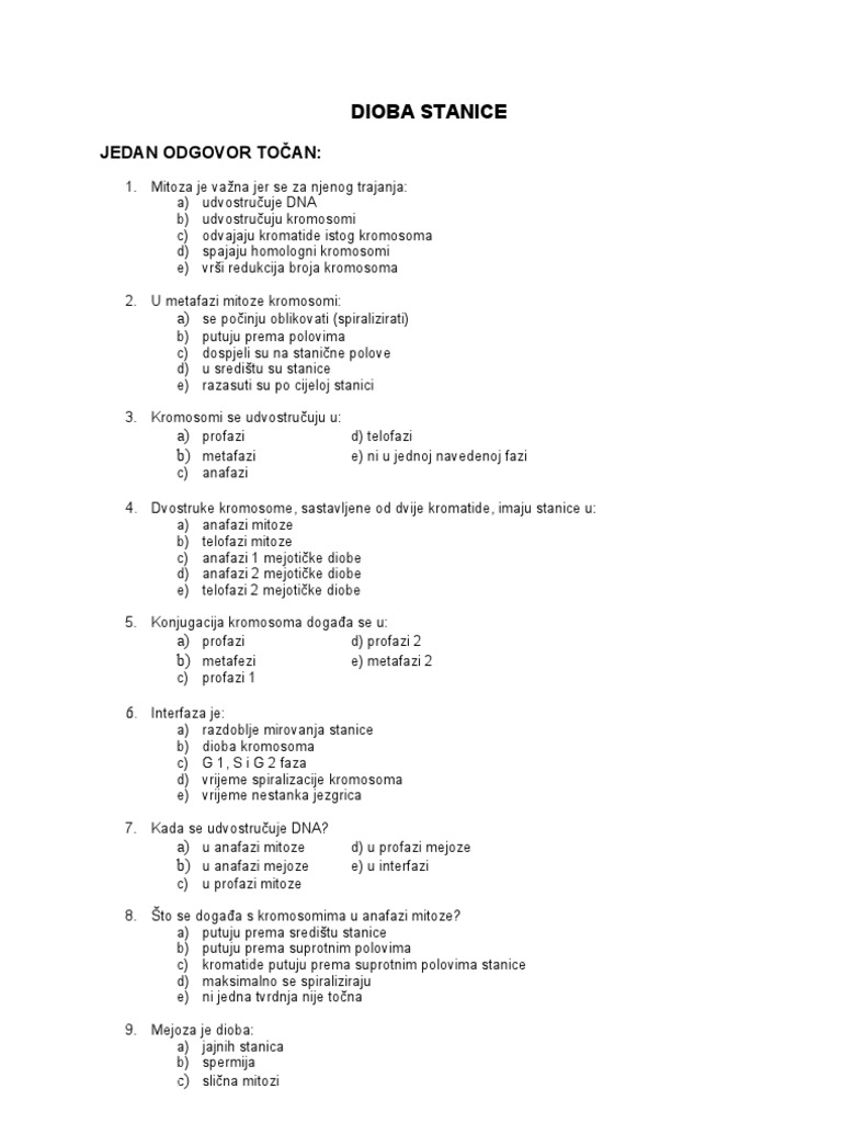 Dioba Stanice 80+20 | PDF