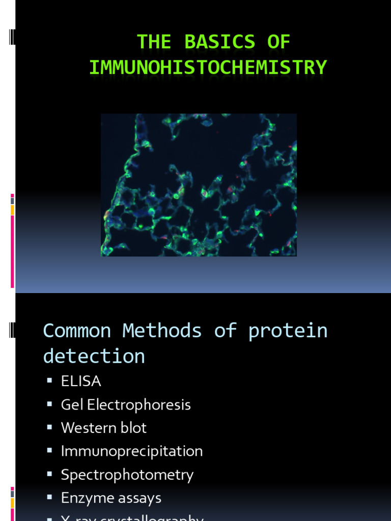 1 The Basics of Immunohistochemistry | PDF | Immunohistochemistry ...