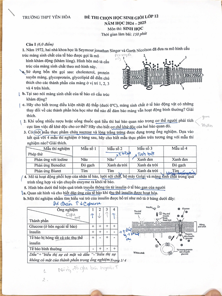 Đề HSG sinh | PDF