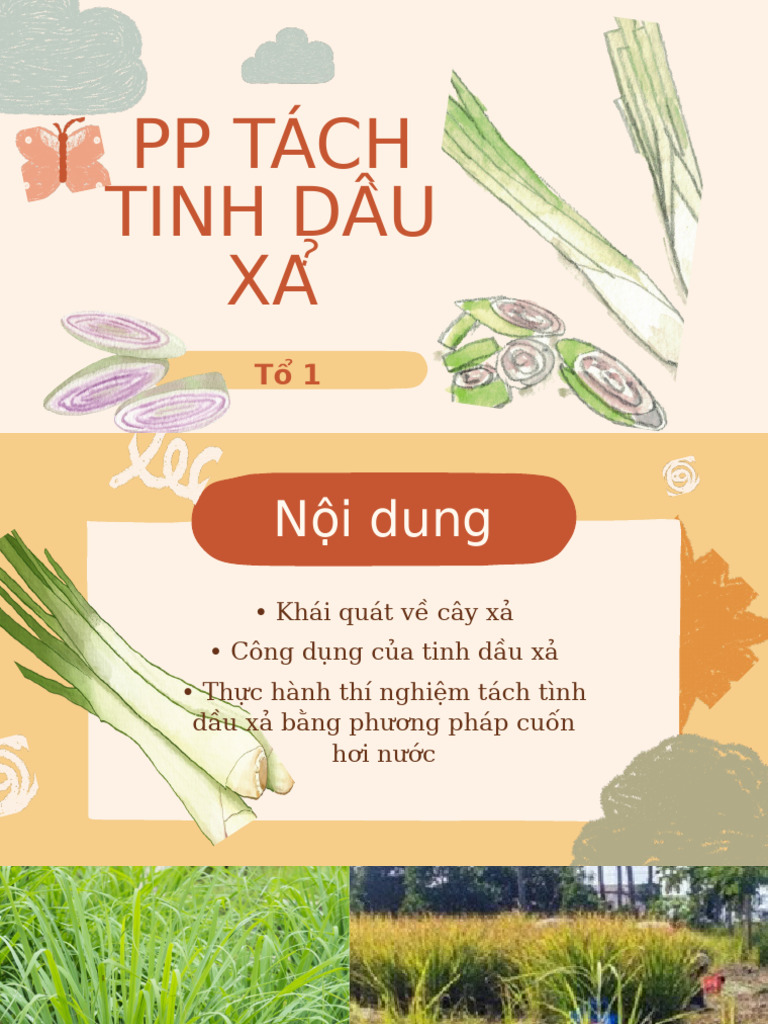 TH C Hành | PDF