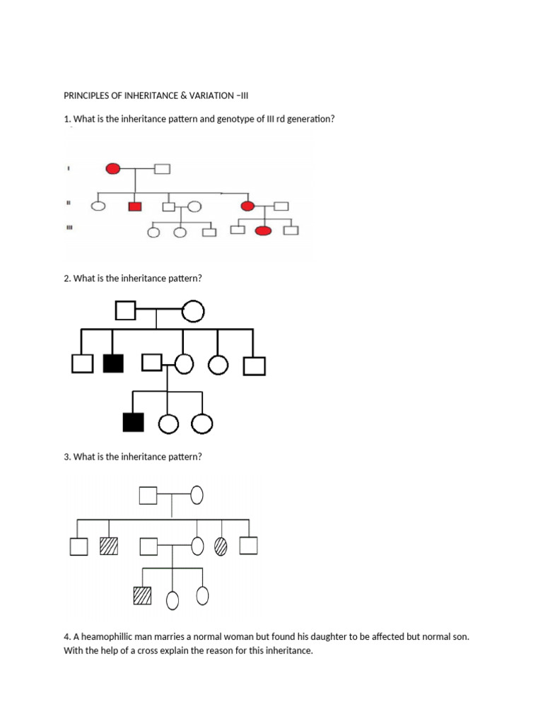 Genetics: Inheritance Patterns Explained | PDF