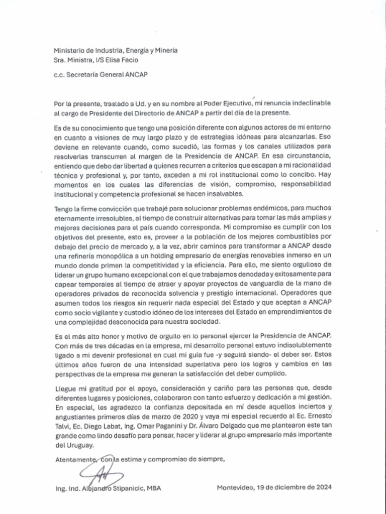 Renuncia Stipanicic | PDF