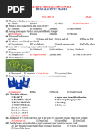 SCAT6 Instructions v9 | PDF | Concussion | Foot