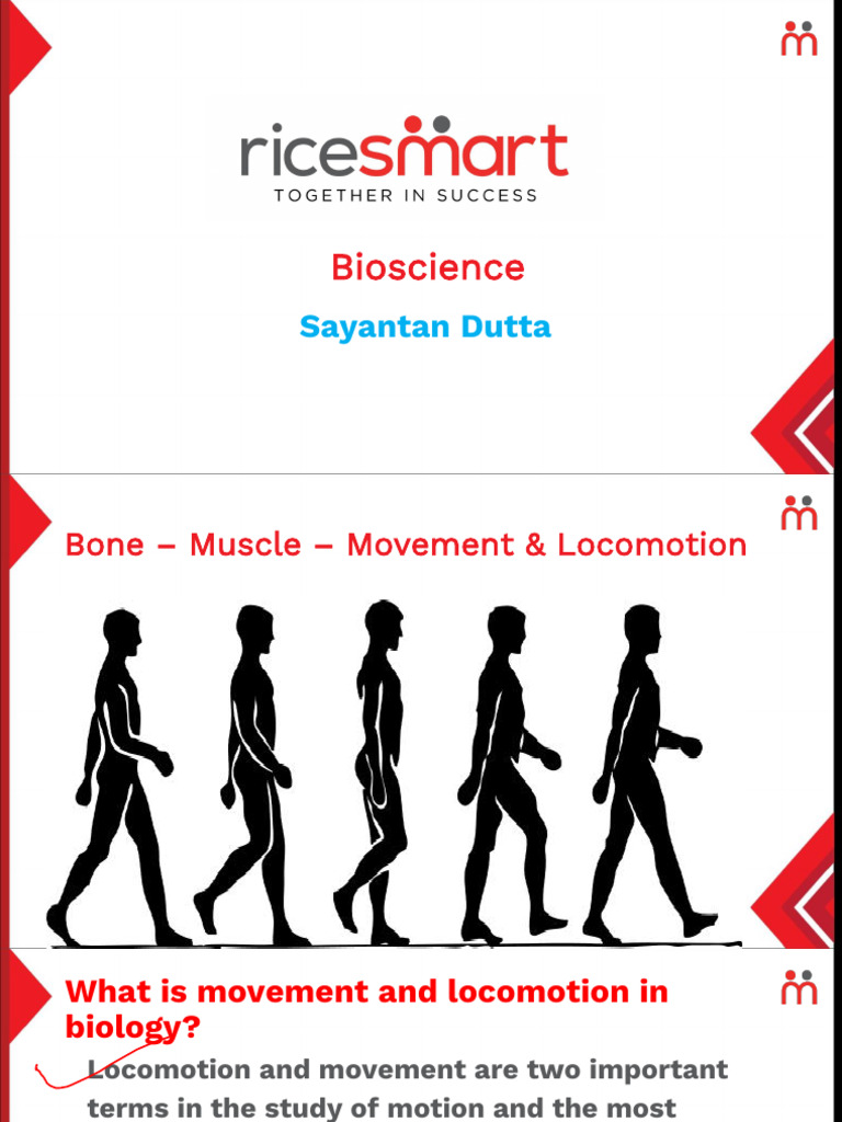 Bone, Muscle, Movement & Locomotion (COE) | PDF | Skeleton | Muscle ...