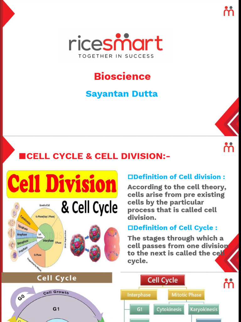 Cell Division & Chromosome & Mutation[N]-1 | PDF | Meiosis | Dna