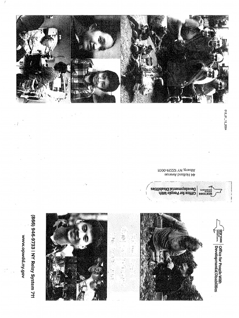 Nys Opwdd | PDF