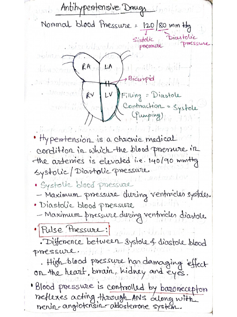 Antihypertensive Drugs Hypotensive Drugs Pdf