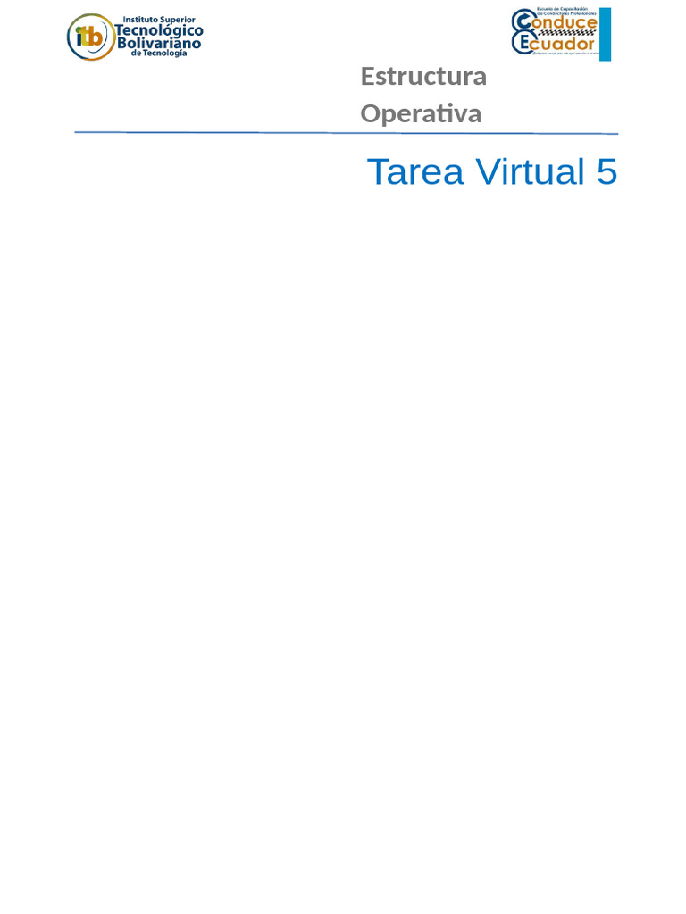 Tarea Virtual 5 Estructura Operativa | PDF
