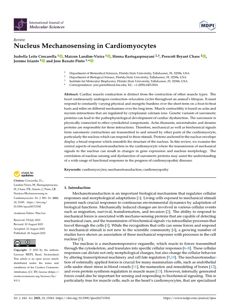Nucleus Mechanosensing in Cardiomyocytes | PDF | Actin | Cytoskeleton