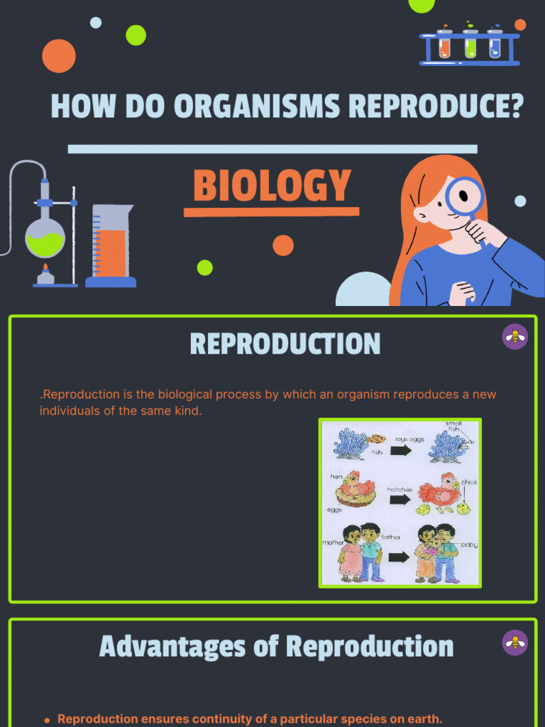 Human Reproduction Overview | PDF | Fertilisation | Flowers