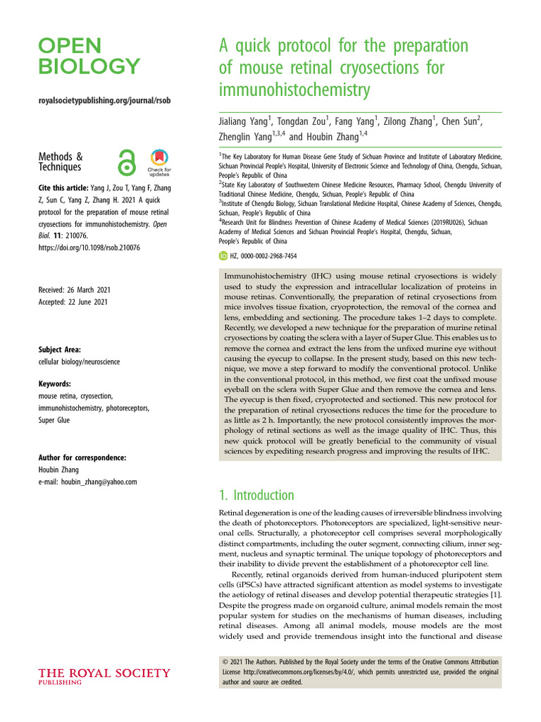 Yang Et Al 2021 A Quick Protocol For The Preparation of Mouse Retinal ...