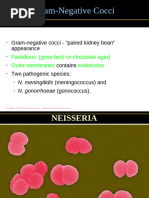 Gram Negative Cocci Flow Chart | PDF | Gram Negative Bacteria | Prokaryote