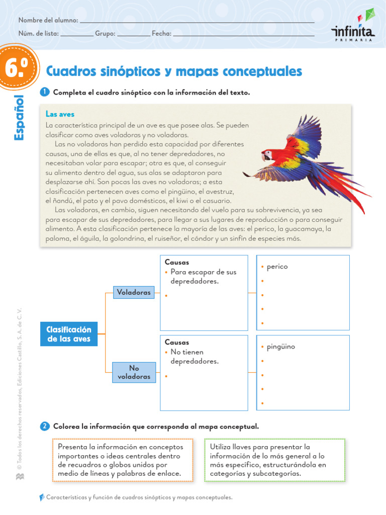Cuadros Sinópticos y Mapas Conceptuales: Las Aves | PDF | Aves | Ornitología
