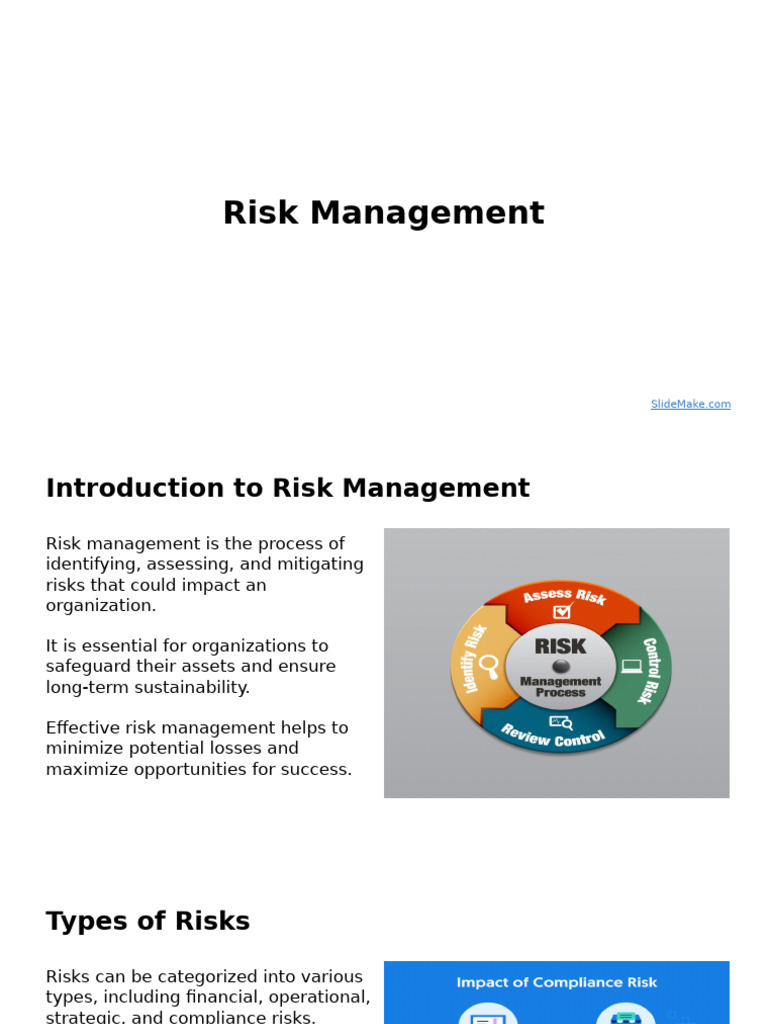 Risk Management | PDF