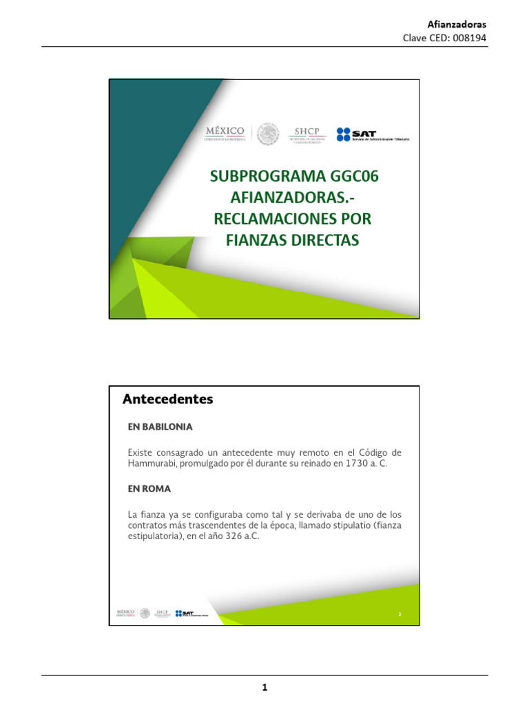 AFIANZADORAS | PDF | Pagos | Ley común