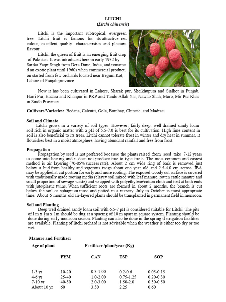 MAT-201 Litchi | PDF | Soil | Mulch