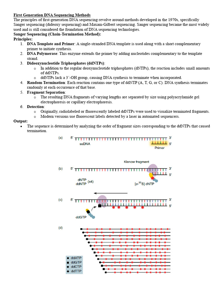 First Generation DNA Sequencing Methods | PDF | Dna Sequencing | Biology