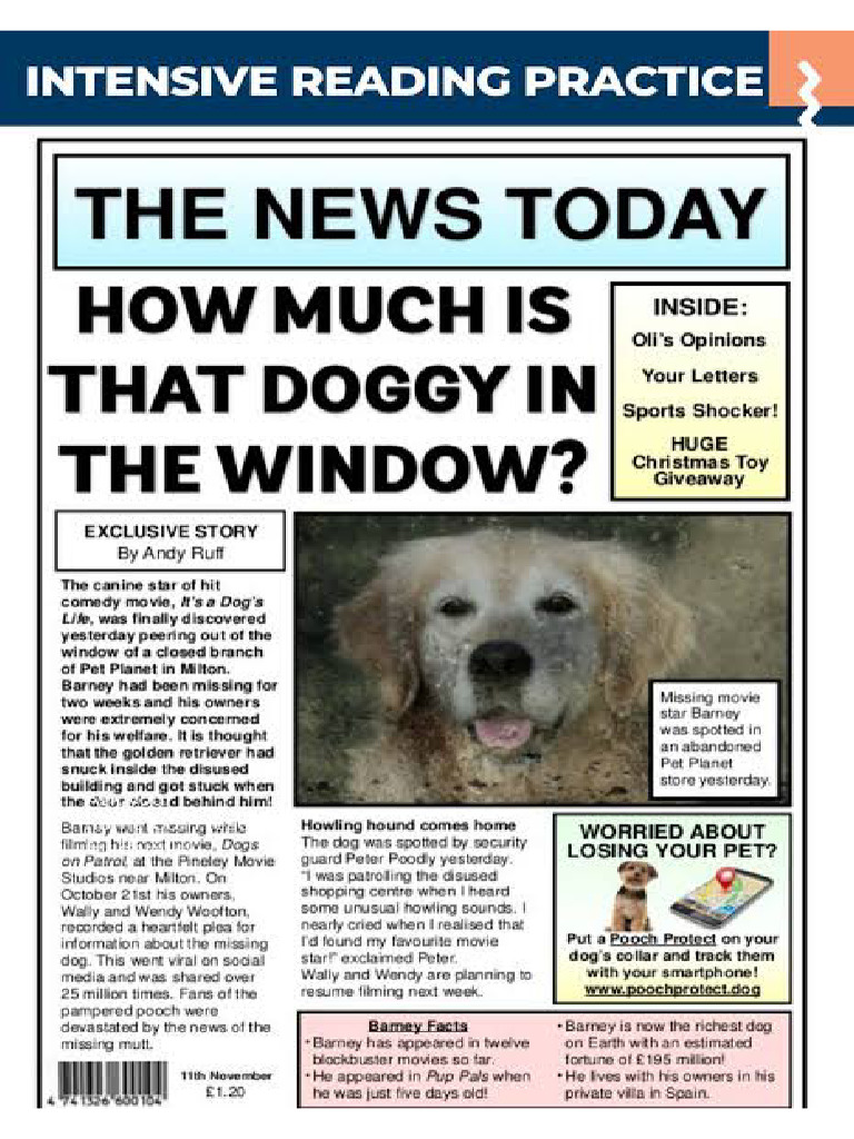 News Banner | PDF