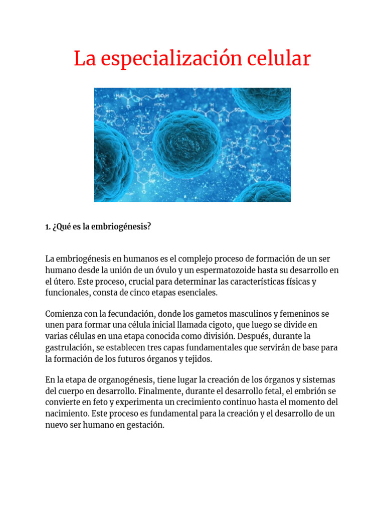 DOCUMENTO BIO JORGE | PDF | Factor de transcripcion | Músculo