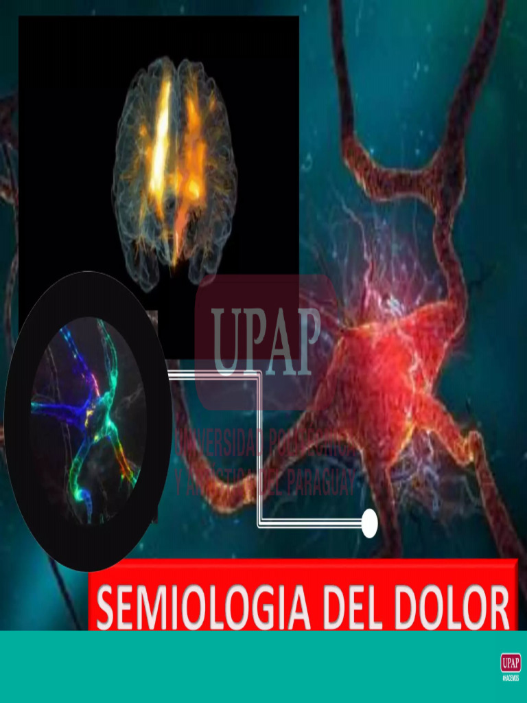 Semiologia Del Dolor | PDF