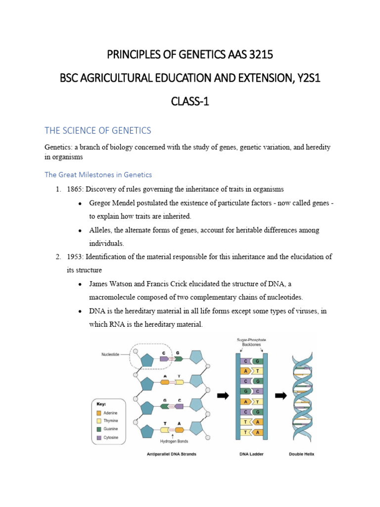 Genetics Notes1 Pdf Mitosis Meiosis