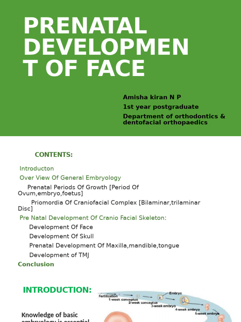 Growth of Face | PDF | Skull | Anatomy